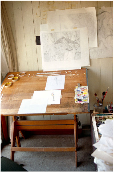 Drawing Ozark Birds - GoatKeepers Press